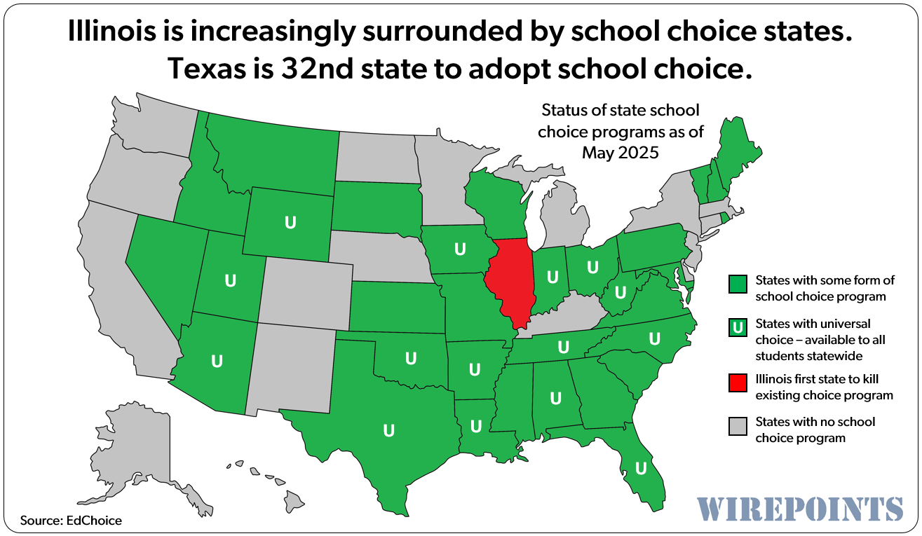 Wirepoints Home | Wirepoints